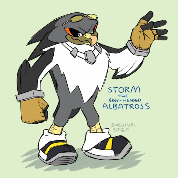 Storm The Albatross Wallpaper