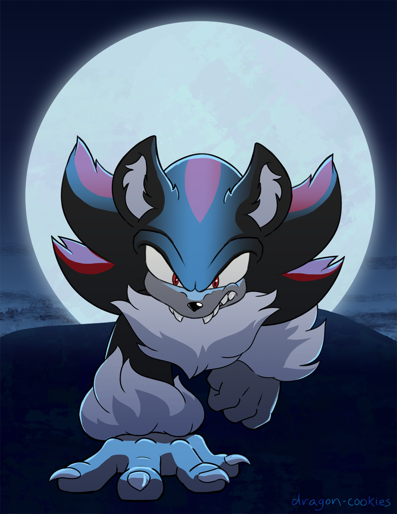 Shadow The Werehog Transformation