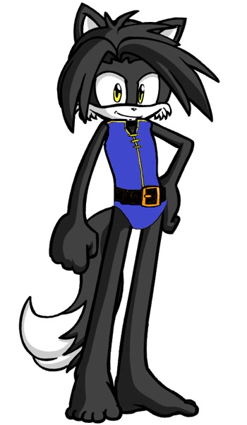 Sonic Fan Characters Male Wolf