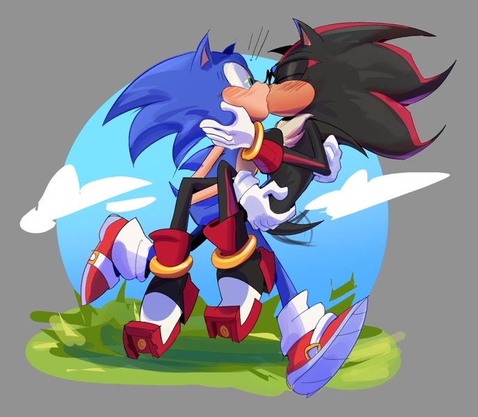 shadow x sonic