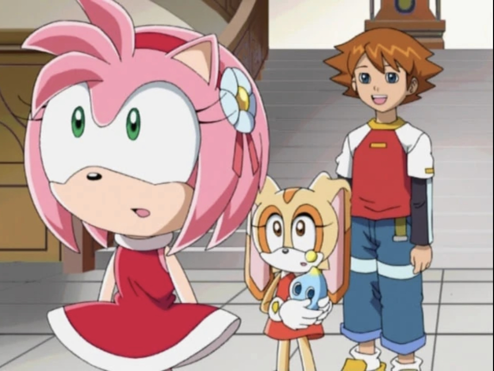 #33468 - safe, amy rose, cheese (chao), chris thorndyke, cream the rabbit, chao, hedgehog, human ...