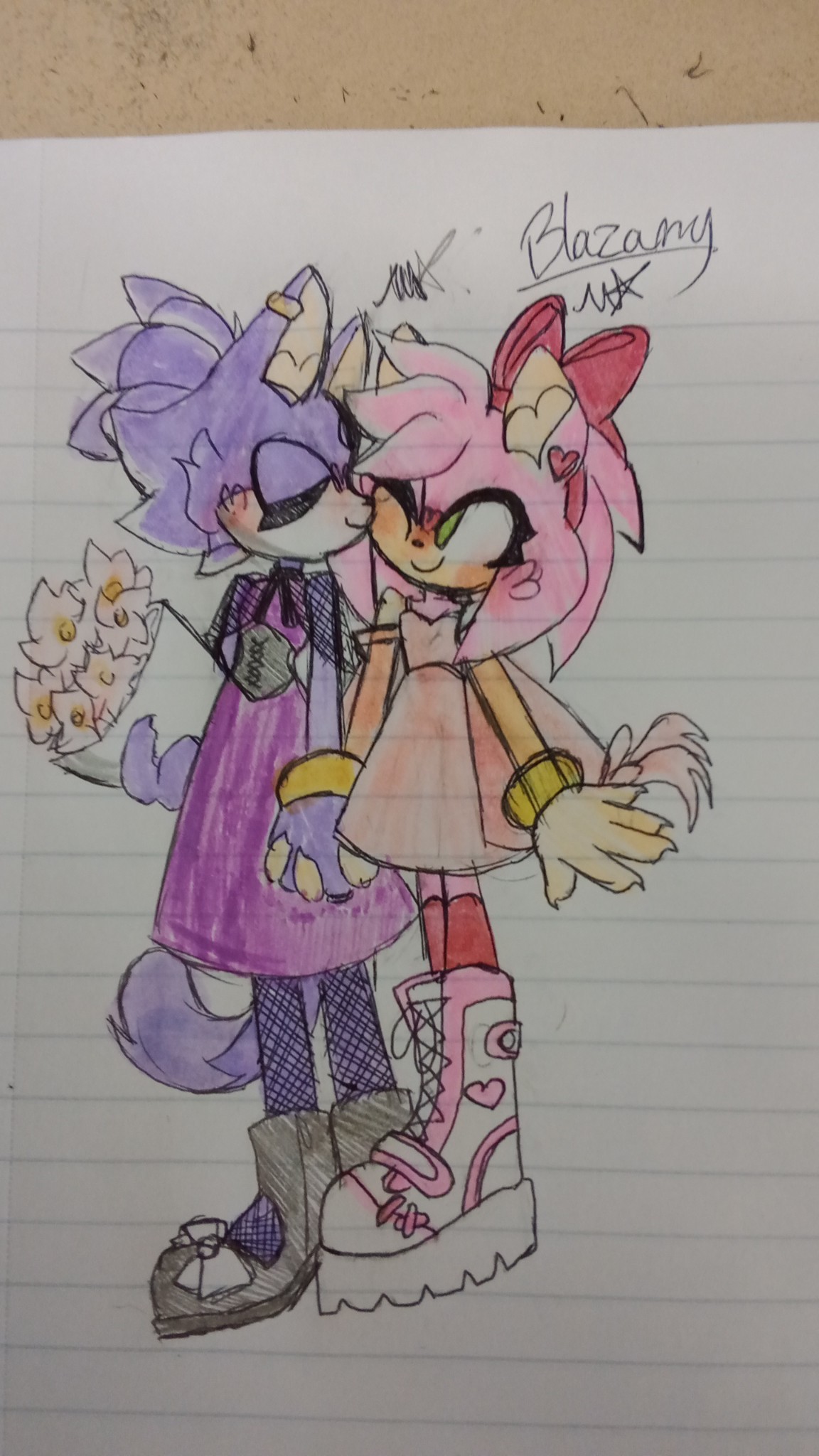 18831 Safe Artistcherry Berry Cola Amy Rose Blaze The Cat Cat Hedgehog 2023 Amy X